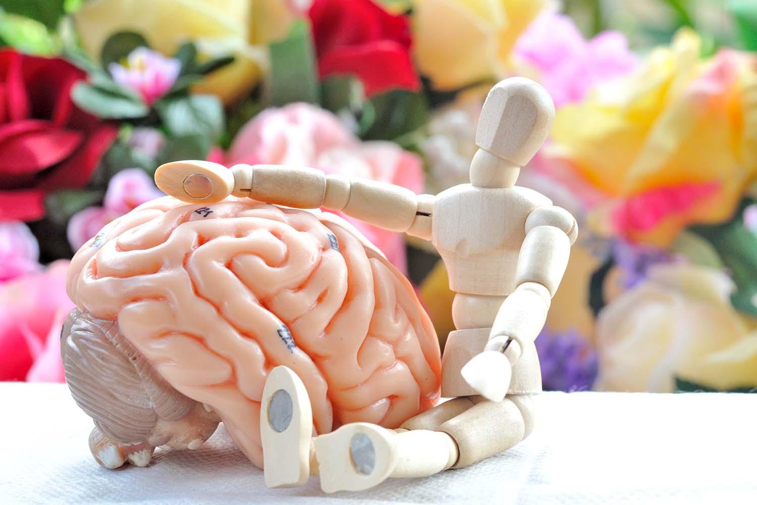 Natural Brain Boosters | Country Village Nutrition